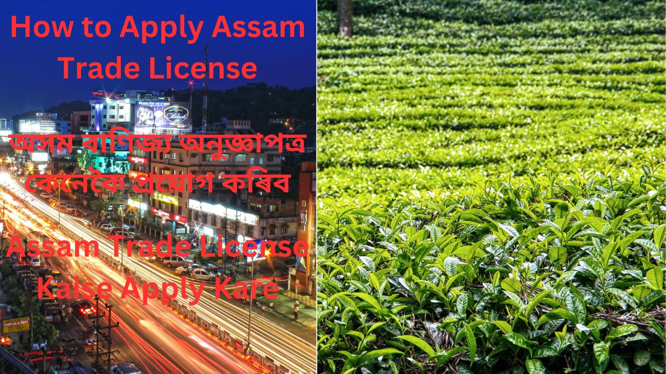 trade-license-in-assam – India Advocacy